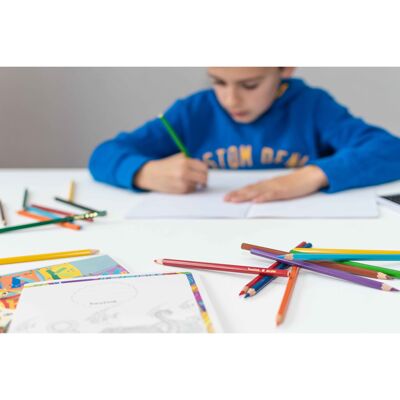 Kleurpotloden | Heutink | Assorti | 12 stuks | Heutink.nl